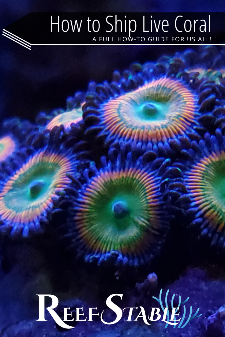 How to Ship Live Coral Frags in 2021
